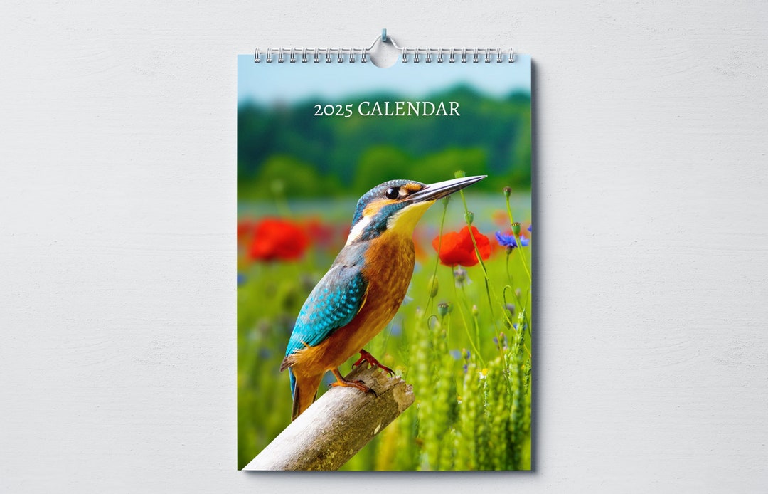 Garden Birds Calendar 2025: Monthly Wall Calendar With Notes, Hanging ...