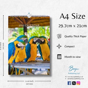 Parrot Calendar 2025: Monthly Wall Calendar With Notes, Hanging A4 Size ...