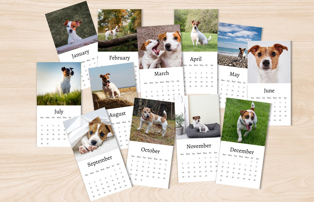 Calendario Jack Russell 2024 / Mini calendario de escritorio / - Etsy ...
