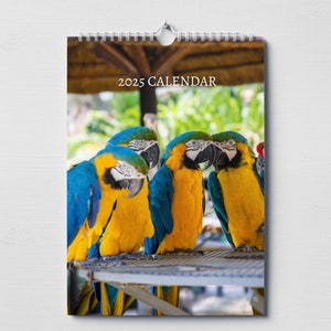 Parrot Calendar 2025: Monthly Wall Calendar With Notes, Hanging A4 Size ...