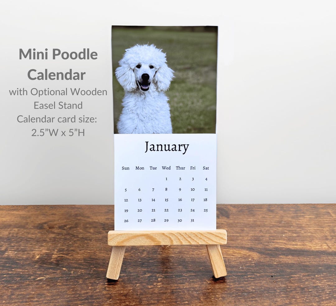 Poodle Calendar 2025: Mini Desk Calendar, Poodle Calendar 2025-2026 ...