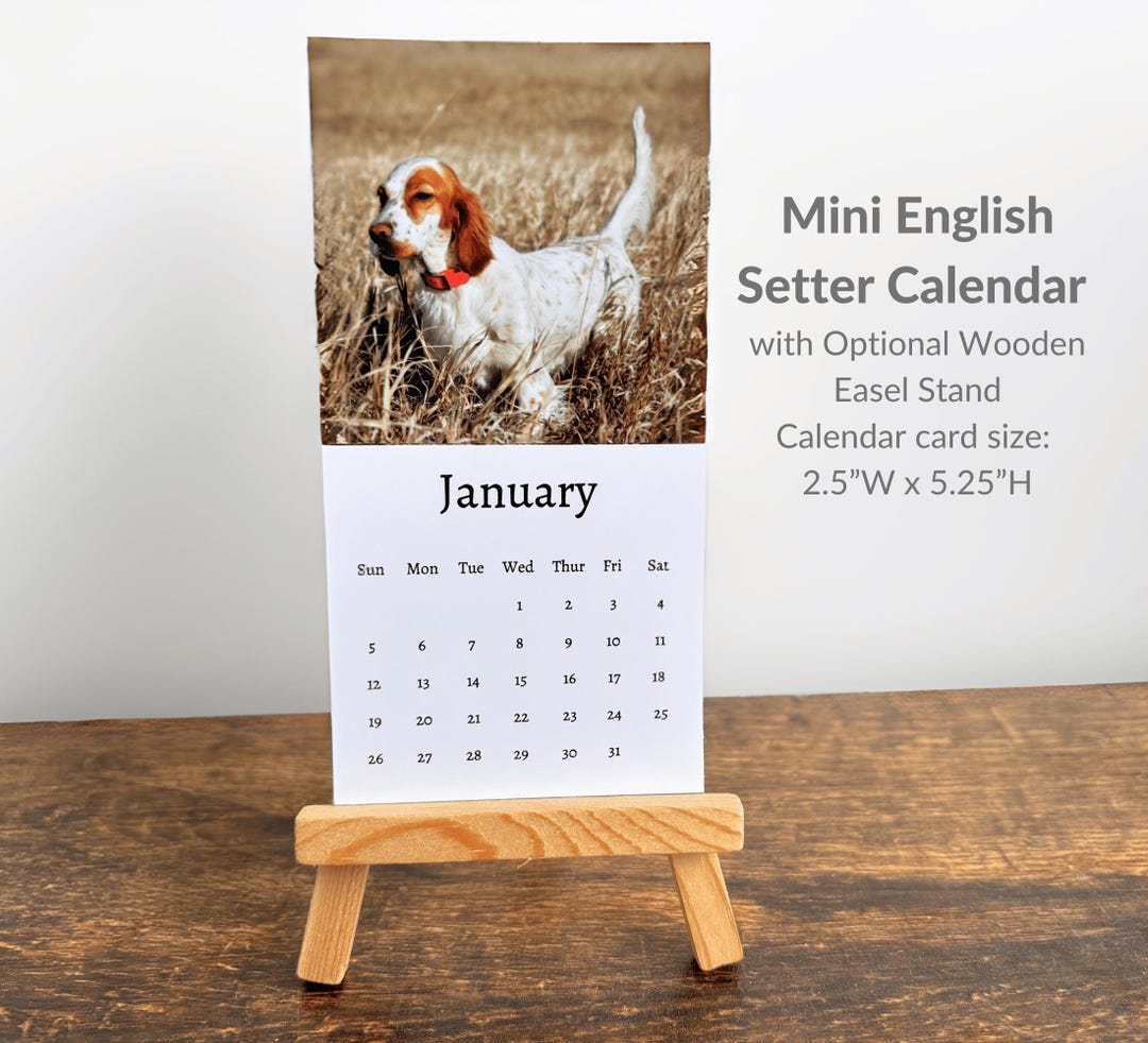 English Setter Calendar 2025: Mini Desk Calendar, Perfect Gift for ...