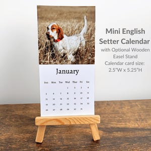 English Setter Calendar 2025: Mini Desk Calendar, Perfect Gift for ...
