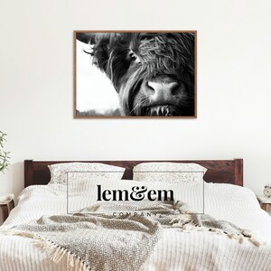 COW PRINT - Digital Download - Highland Cow Art - Cow Wall Art - Fluffy ...