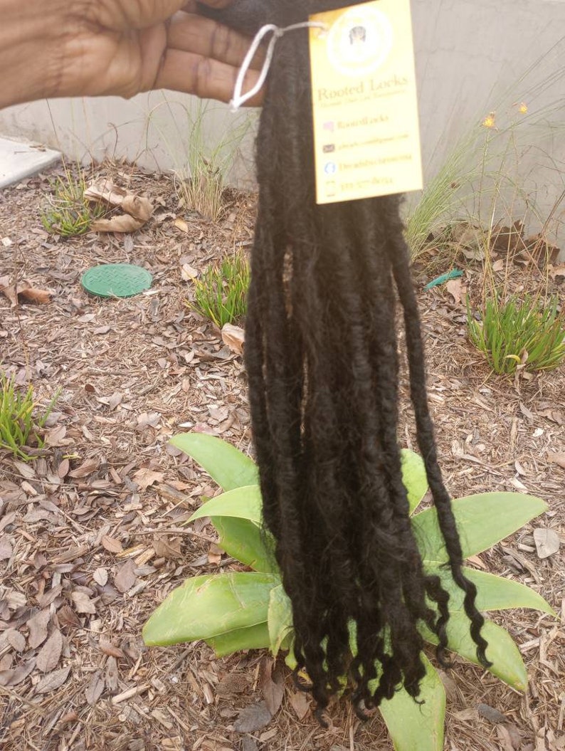 Lisa Bonet Locs Goddess Locs Human Hair Curly 12 Inch Of Loc Etsy Singapore