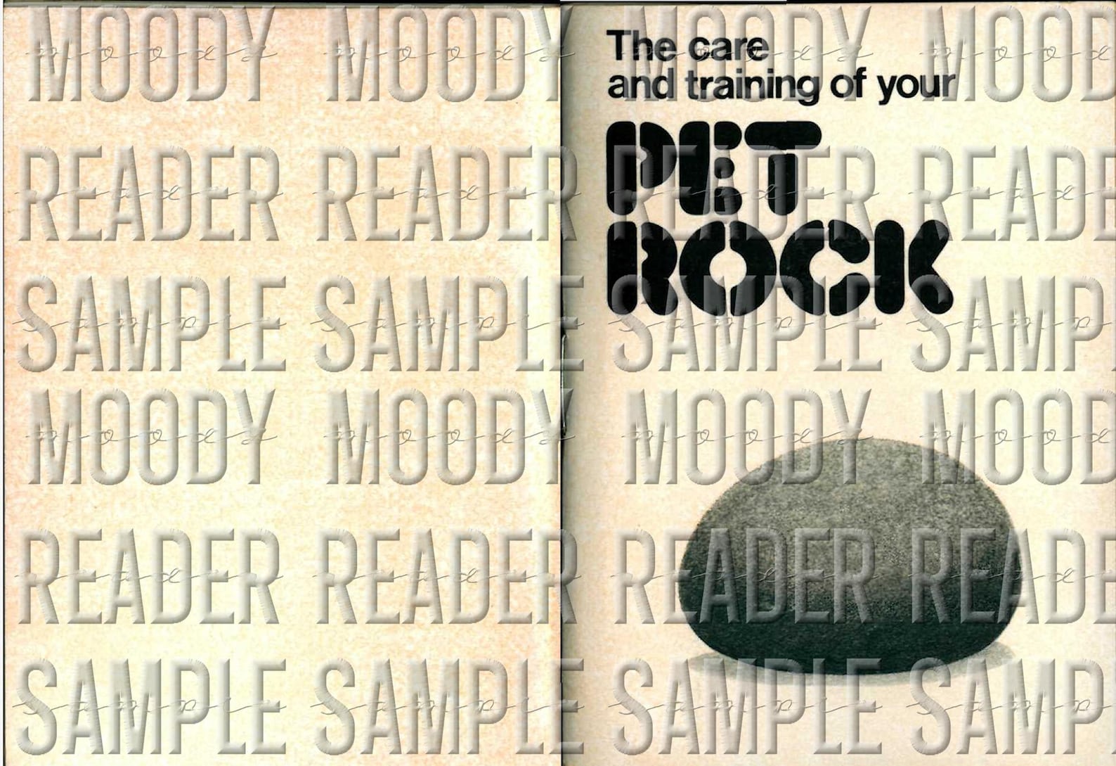 Pet Rock, Owner's Care and Training Manual, Pet Rock Box Template ...