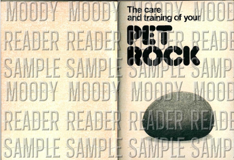 Pet Rock, Owner's Care and Training Manual, Pet Rock Box Template, Adoption Certificate, Instant ...
