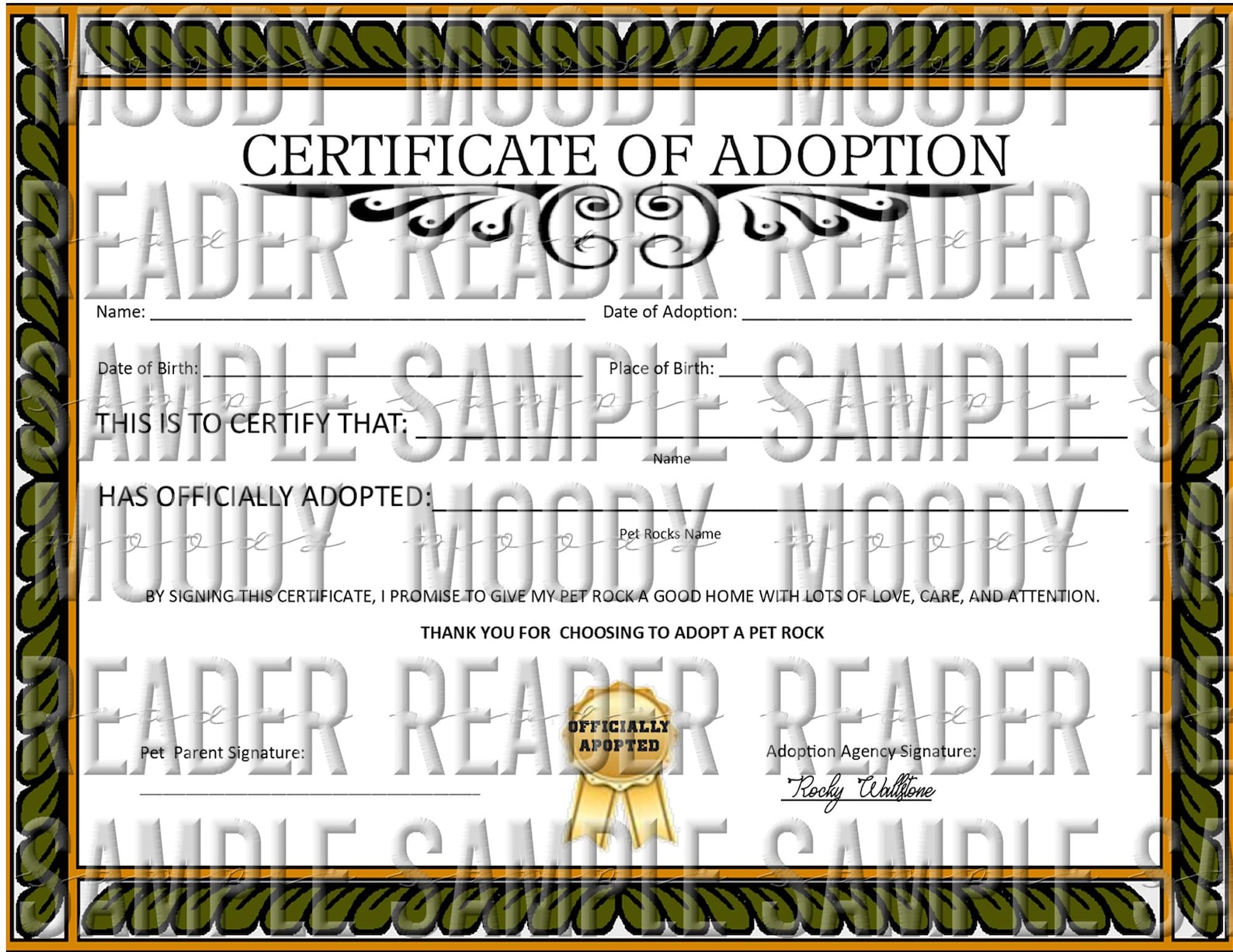 Pet Rock, Owner's Care and Training Manual, Pet Rock Box Template ...