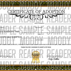 Pet Rock, Owner's Care and Training Manual, Pet Rock Box Template ...