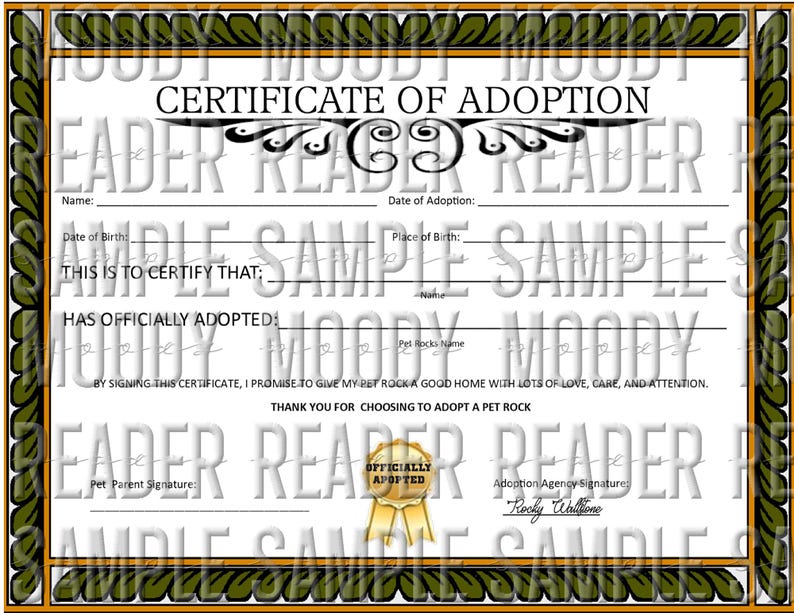 Pet Rock, Owner's Care and Training Manual, Pet Rock Box Template ...