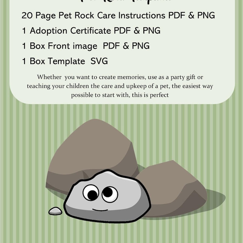 Pet Rock - Etsy