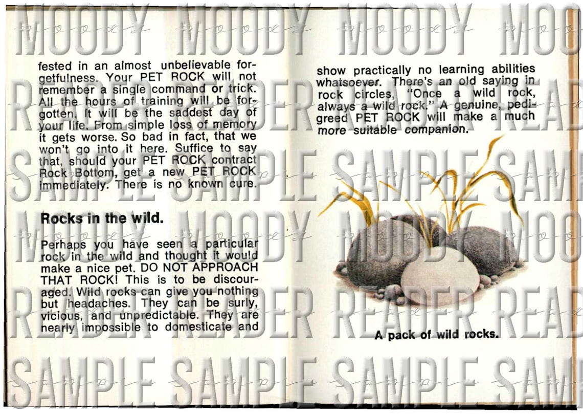 Pet Rock, Owner's Care and Training Manual, Pet Rock Box Template, Adoption Certificate, Instant ...