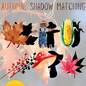 Printable Autumn Matching Shadow Cards. Montessori Style. Preschool and ...