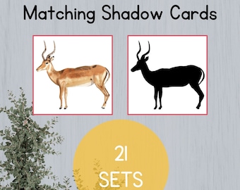 Montessori Shadow Matching - Etsy