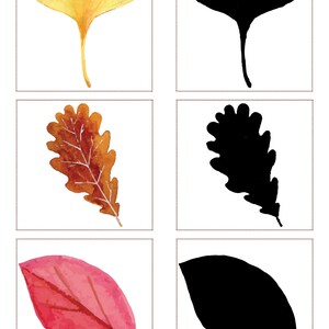 Printable Autumn Matching Shadow Cards. Montessori Style. Preschool and ...