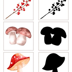 Printable Autumn Matching Shadow Cards. Montessori Style. Preschool and ...