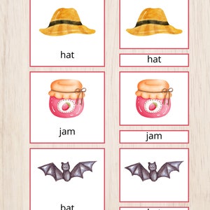 Printable CVC Phonics 3-part Cards. CVC Words Reading Activity ...