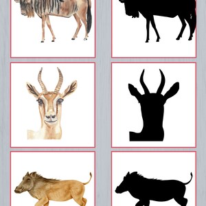 Printable African Animal Matching Shadow Cards. Montessori Style ...