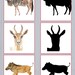 Printable African Animal Matching Shadow Cards. Montessori Style ...