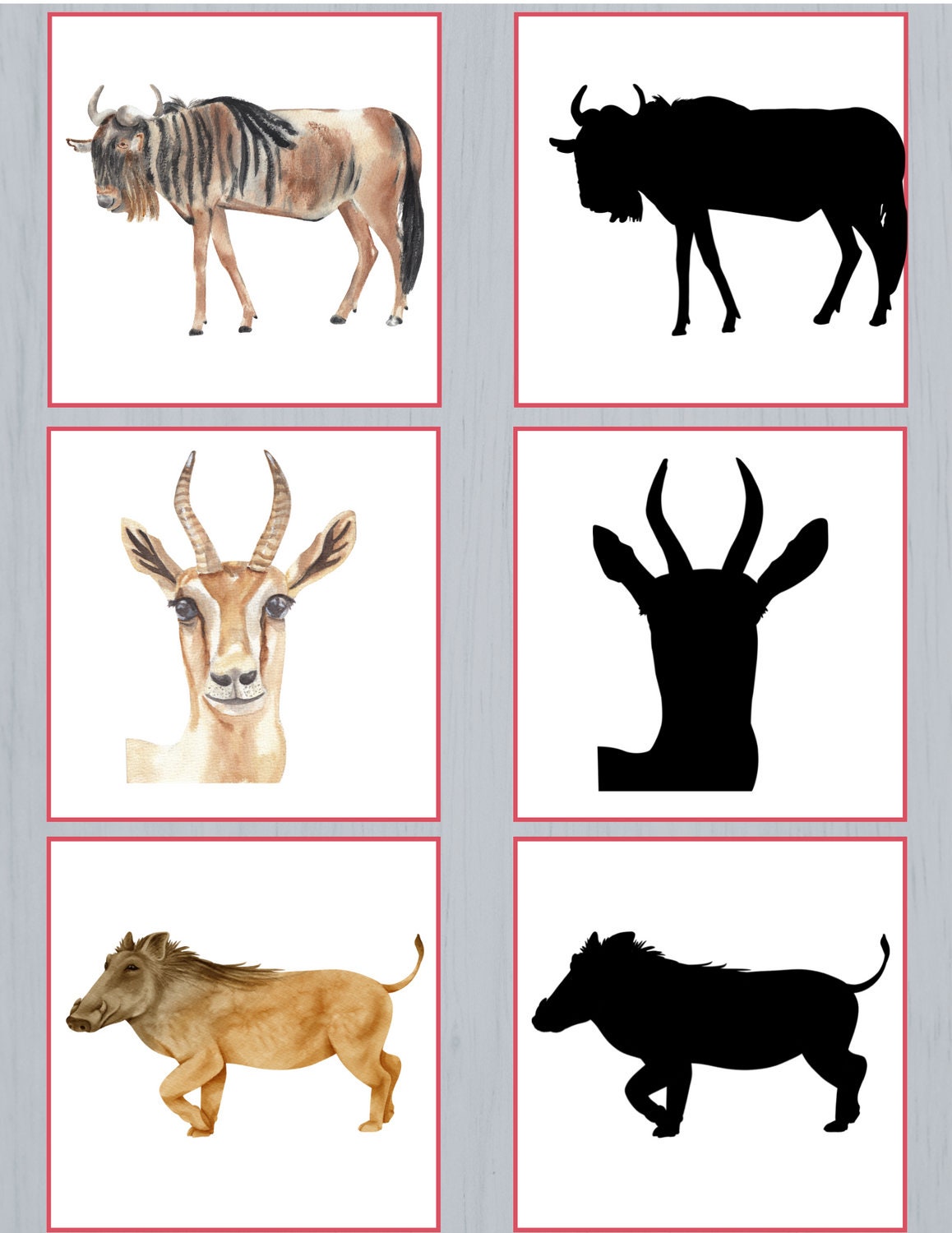 Printable African Animal Matching Shadow Cards. Montessori Style ...