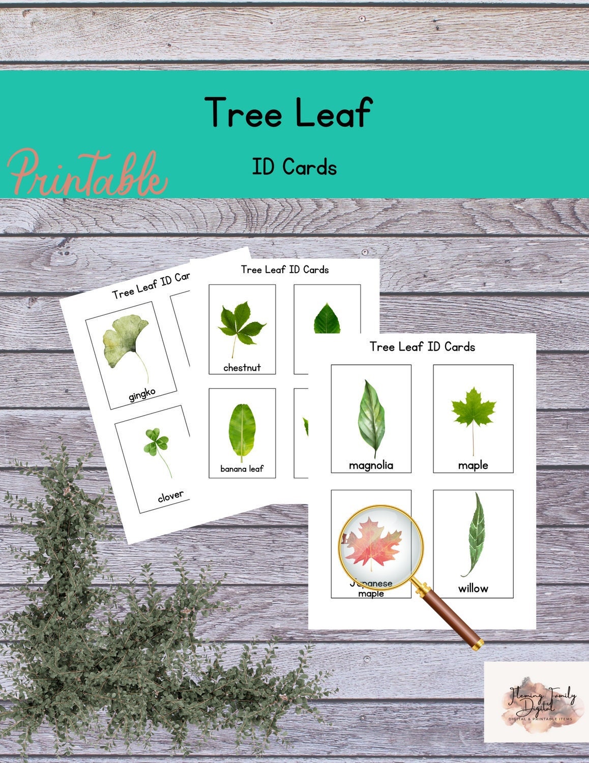 Tree Leaf Identification Cards, Montessori Materials Printable, Forest ...