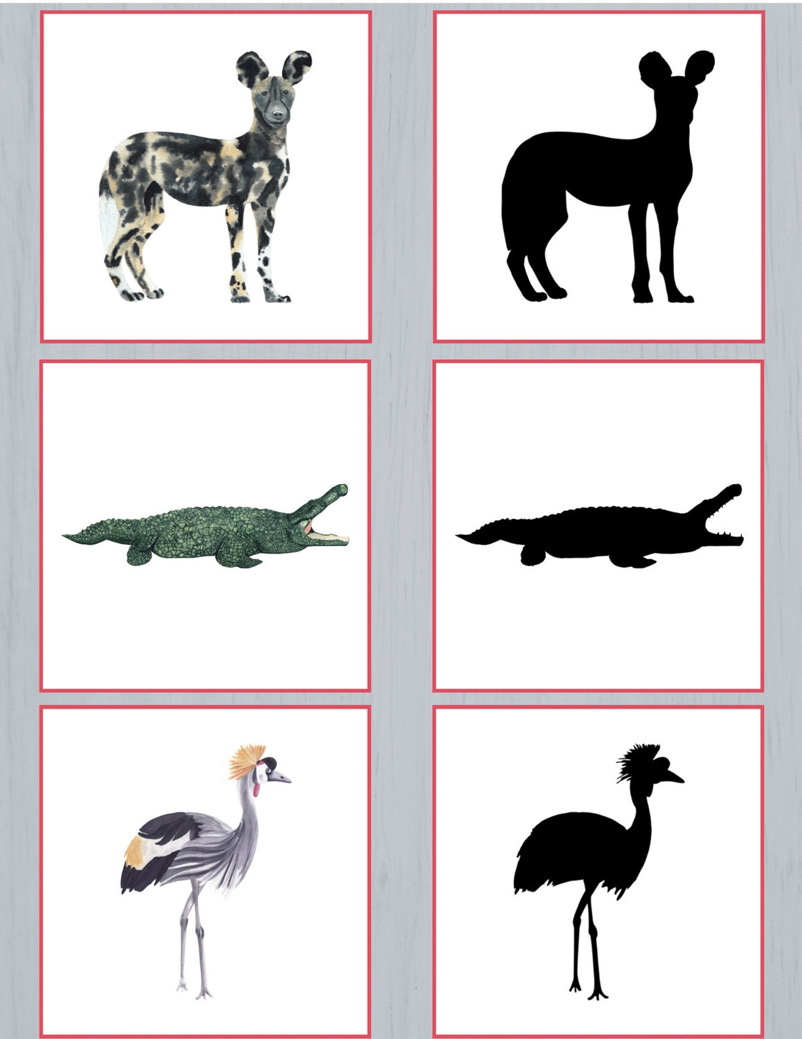 Printable African Animal Matching Shadow Cards. Montessori Style ...