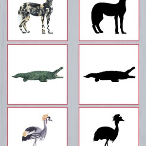 Printable African Animal Matching Shadow Cards. Montessori Style ...