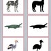 Printable African Animal Matching Shadow Cards. Montessori Style ...