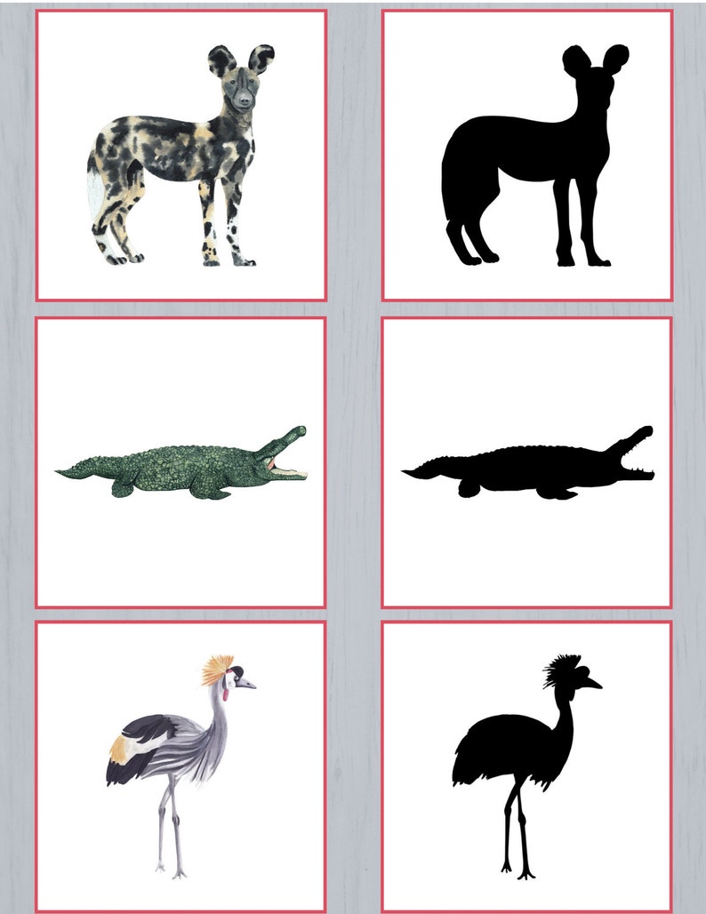 Printable African Animal Matching Shadow Cards. Montessori Style ...