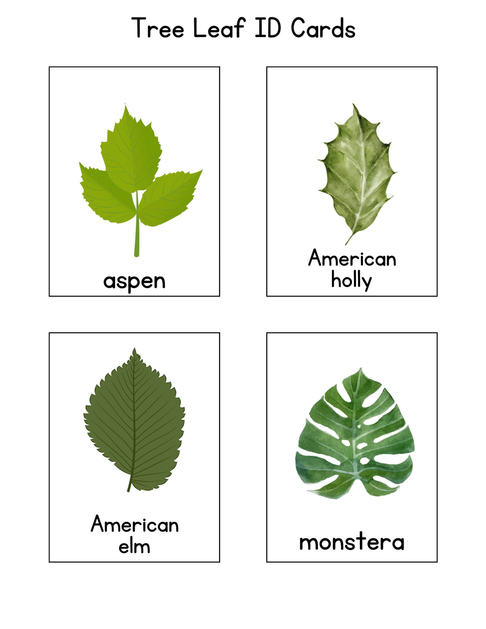 Tree Leaf Identification Cards, Montessori Materials Printable, Forest ...