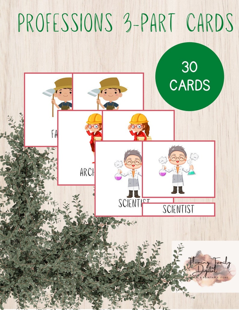 Printable Professions 3-part Cards, Matching and Reading Activity ...