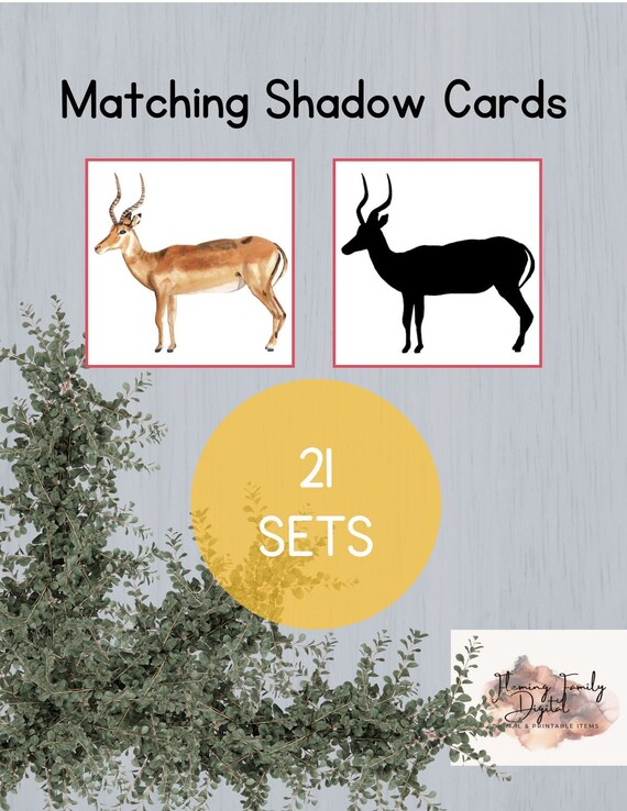 Printable African Animal Matching Shadow Cards. Montessori - Etsy