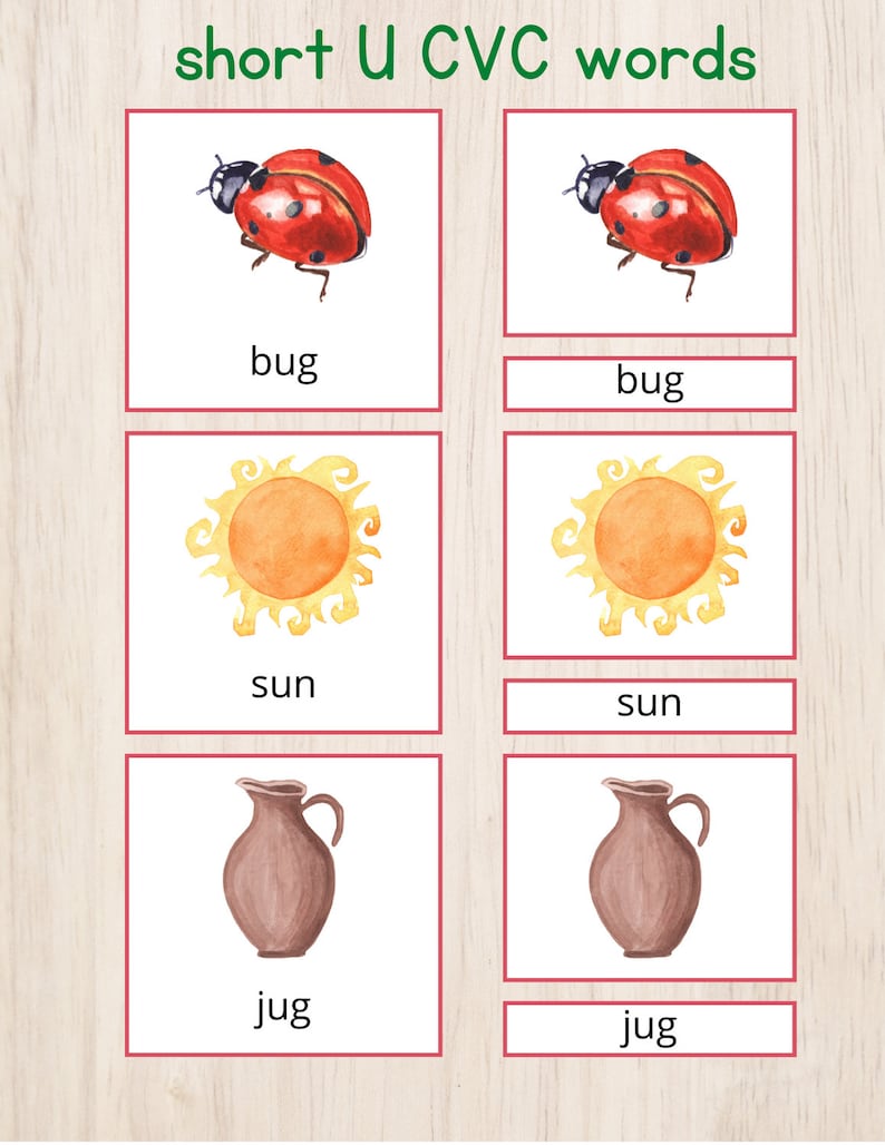 Printable CVC Phonics 3-part Cards. CVC Words Reading Activity ...