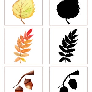 Printable Autumn Matching Shadow Cards. Montessori Style. Preschool and ...
