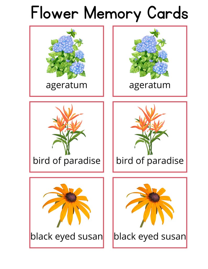 Memory Game Flashcards Flowers, Montessori Printable, Forest Schooling ...