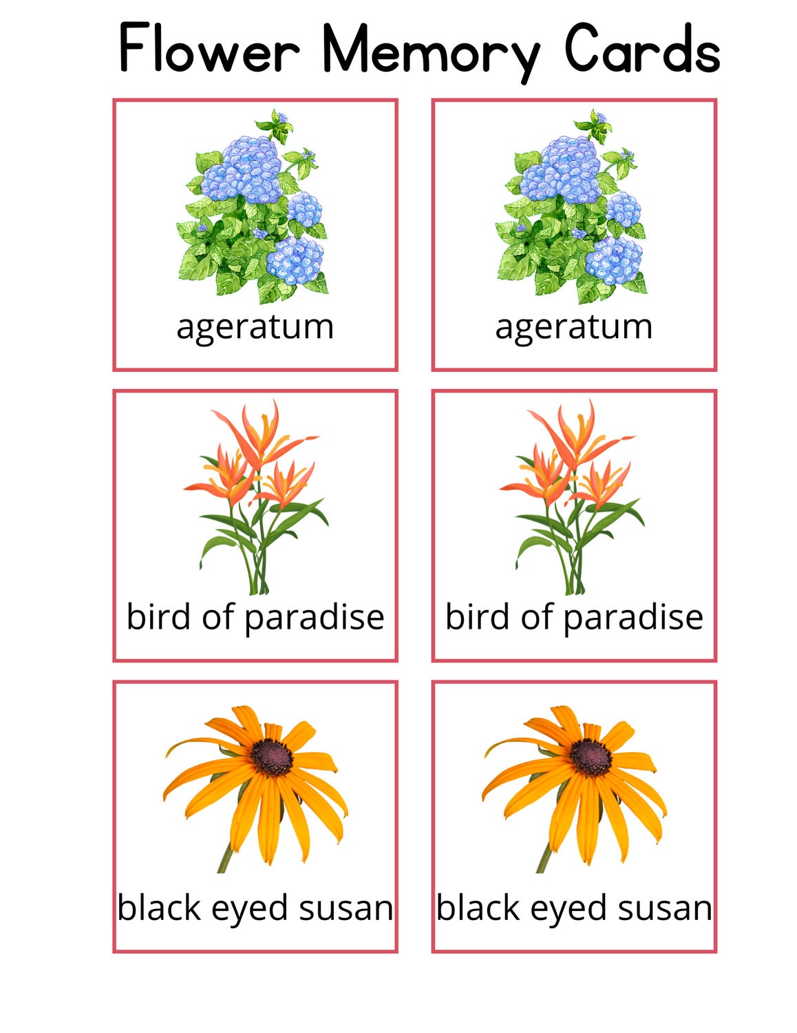 Memory Game Flashcards Flowers, Montessori Printable, Forest Schooling ...