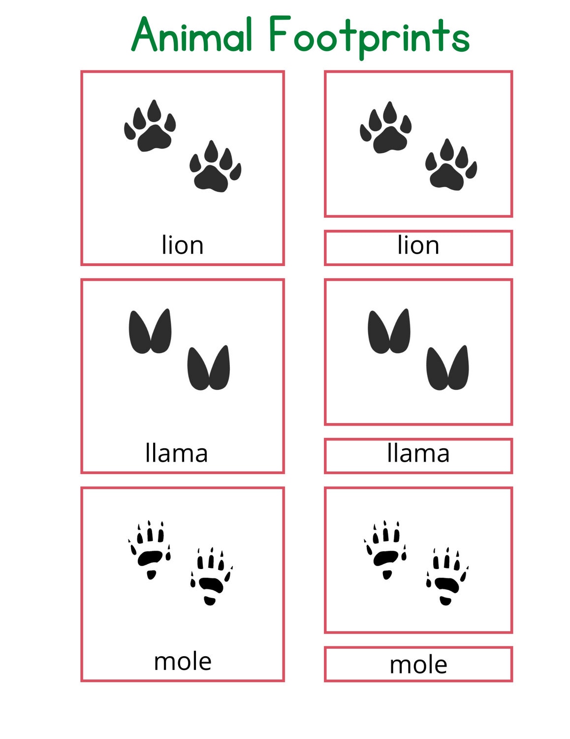 Printable 3-part Cards - Animal Footprints. Identifying Footprints ...