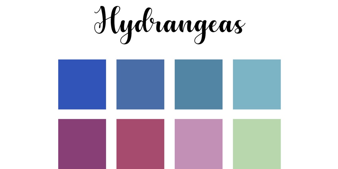 Hydrangeas | Color Palette, Procreate, Adobe Illustrator, Png, Swatch ...