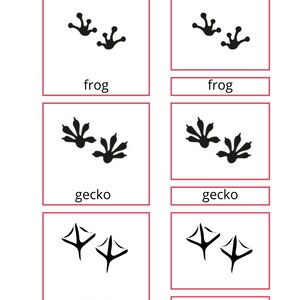 Printable 3-part Cards - Animal Footprints. Identifying Footprints ...