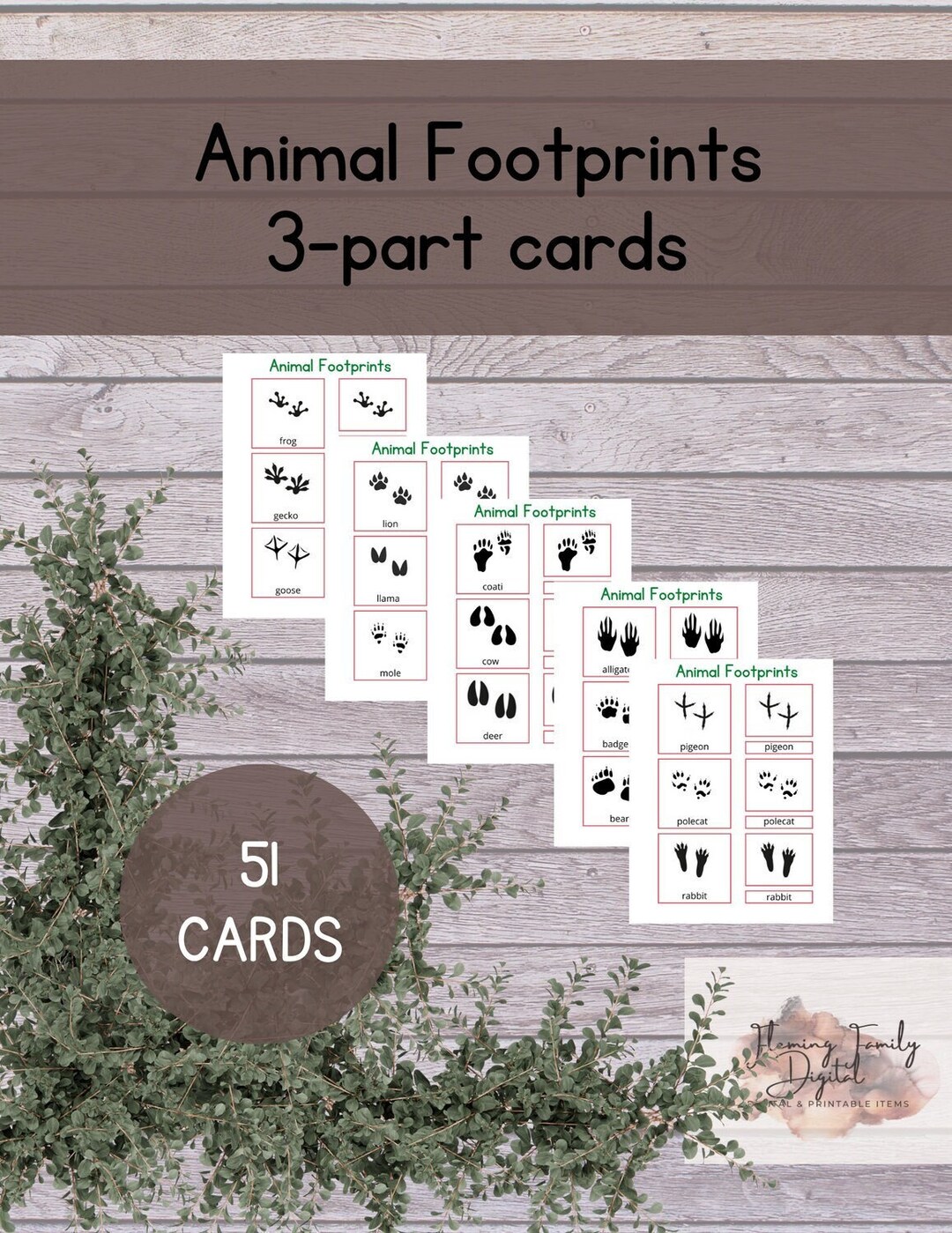 Printable 3-part Cards - Animal Footprints. Identifying Footprints ...