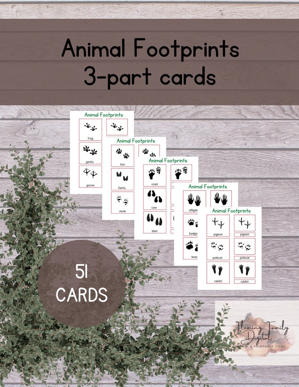 Printable 3-part Cards - Animal Footprints. Identifying Footprints ...