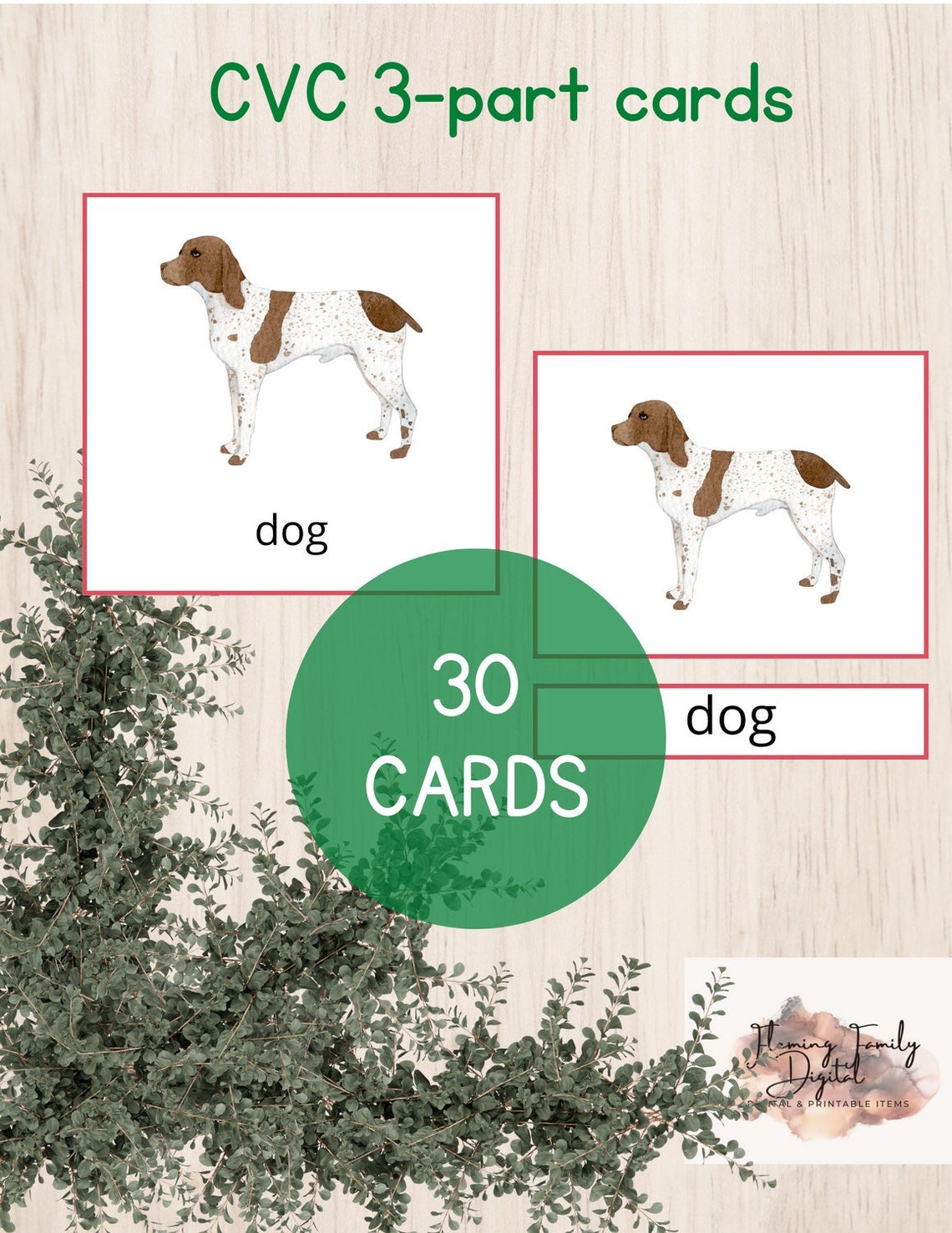 Printable CVC Phonics 3-part Cards. CVC Words Reading Activity ...