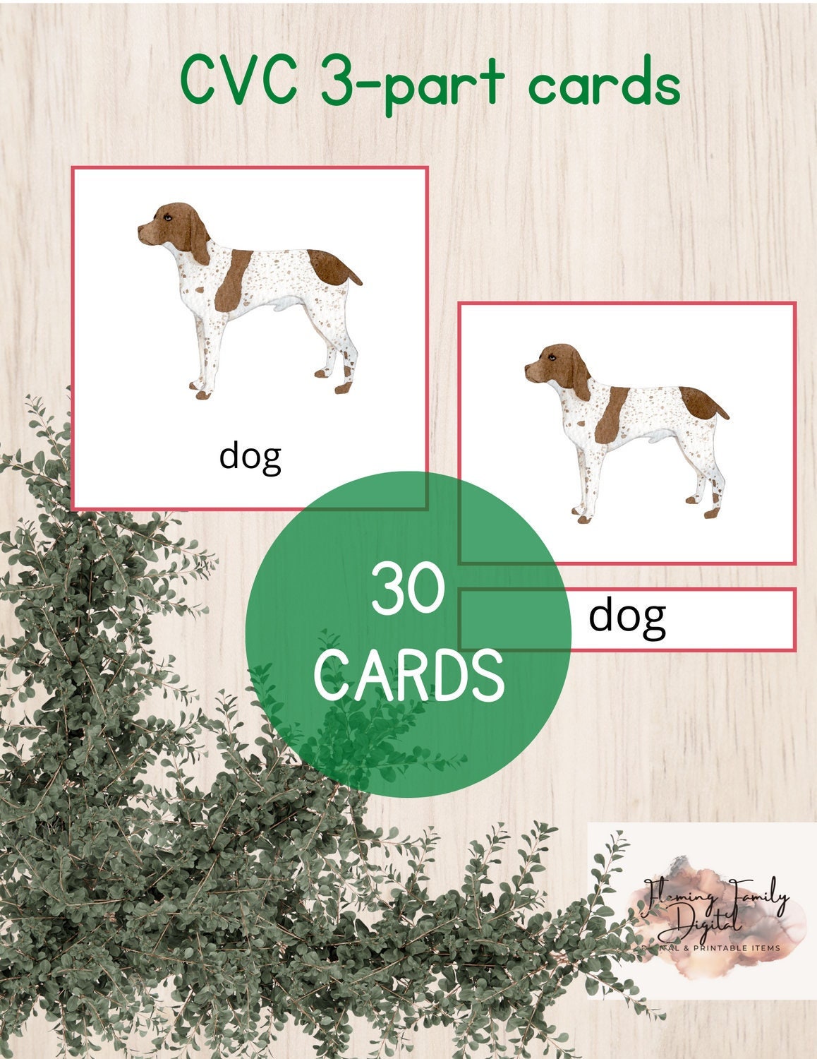 Printable CVC Phonics 3-part Cards. CVC Words Reading Activity ...
