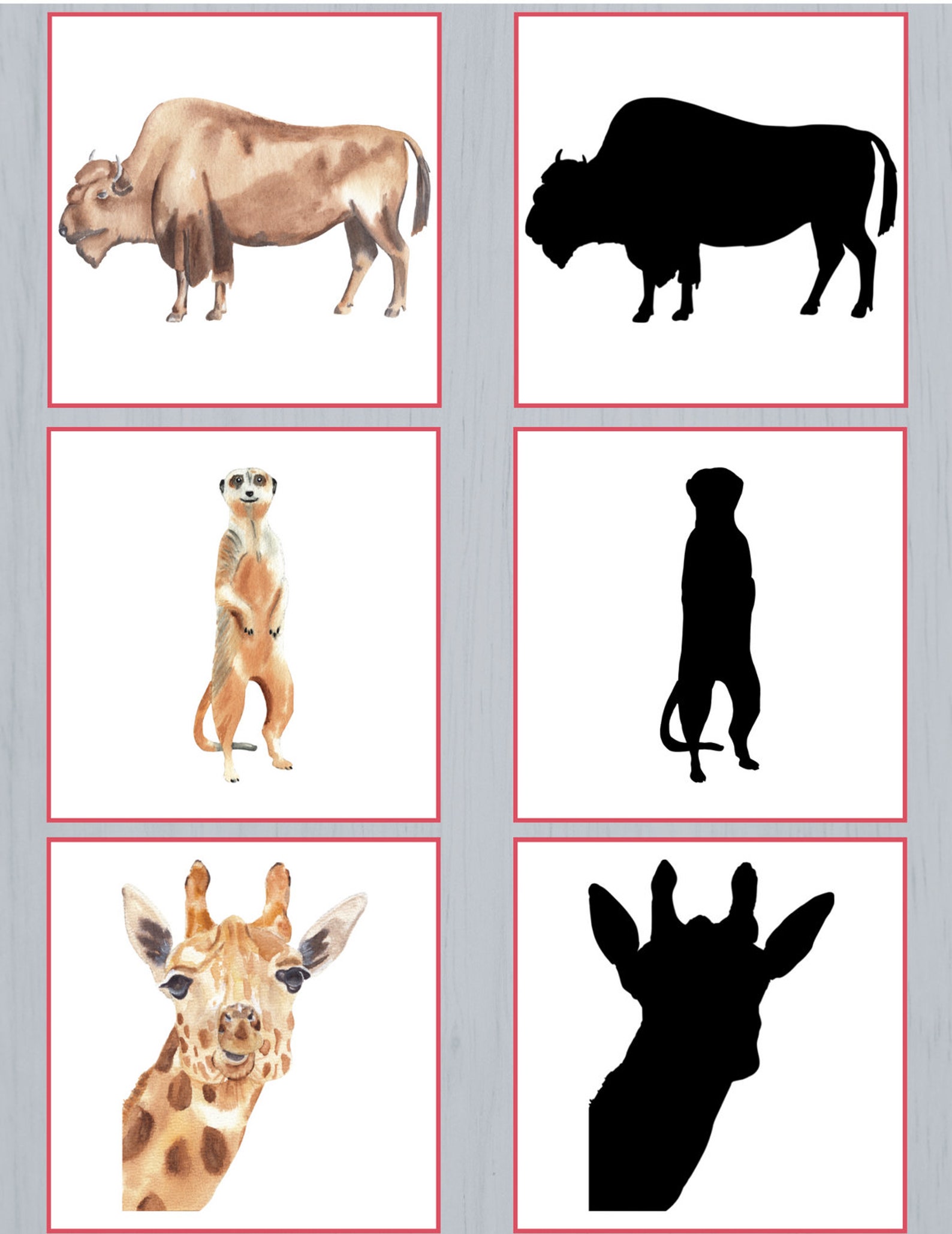 Printable African Animal Matching Shadow Cards. Montessori Style ...