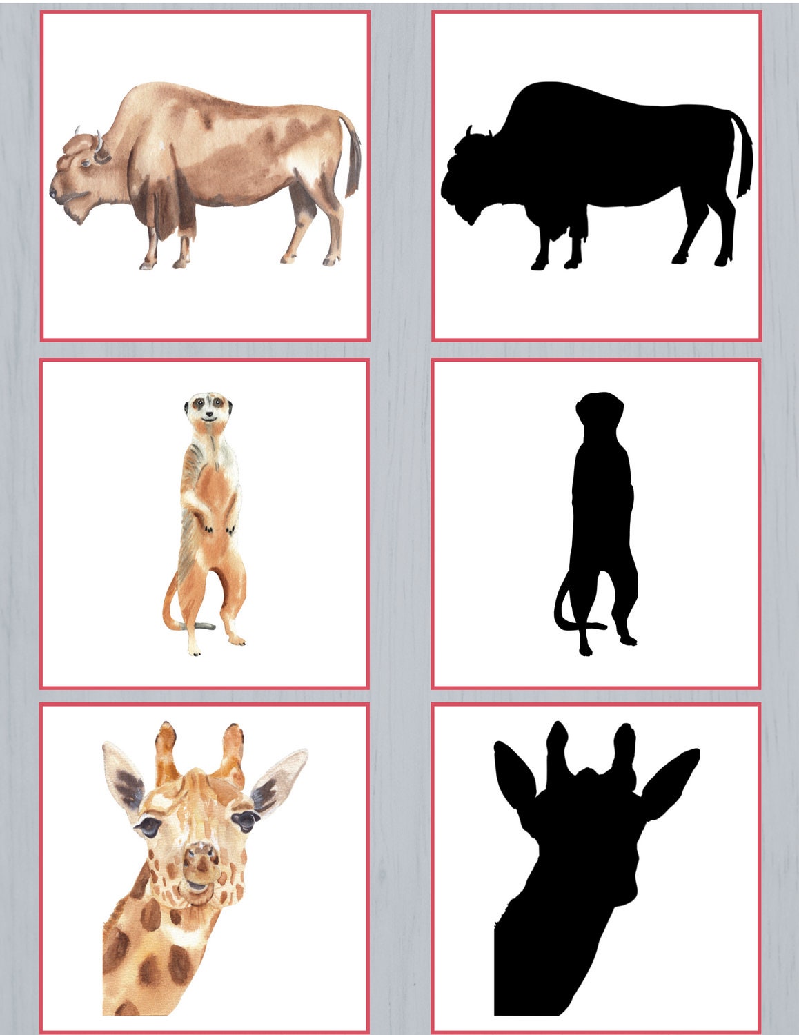 Printable African Animal Matching Shadow Cards. Montessori Style ...
