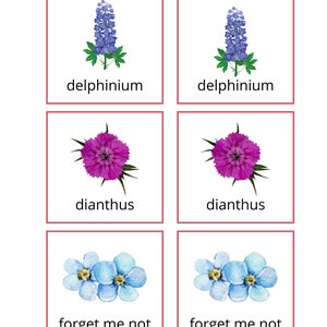 Memory Game Flashcards Flowers, Montessori Printable, Forest Schooling ...