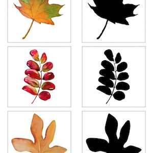 Printable Autumn Matching Shadow Cards. Montessori Style. Preschool and ...