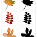 Printable Autumn Matching Shadow Cards. Montessori Style. Preschool and ...