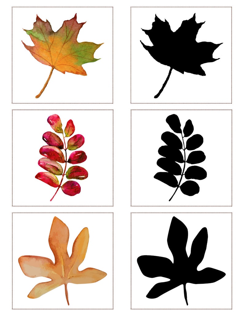 Printable Autumn Matching Shadow Cards. Montessori Style. Preschool and ...