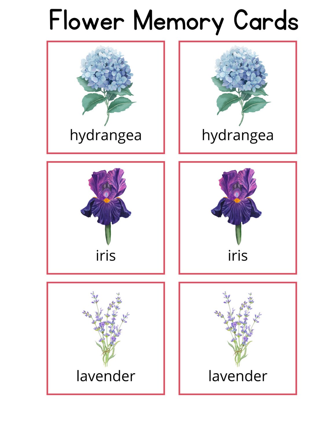 Memory Game Flashcards Flowers, Montessori Printable, Forest Schooling ...